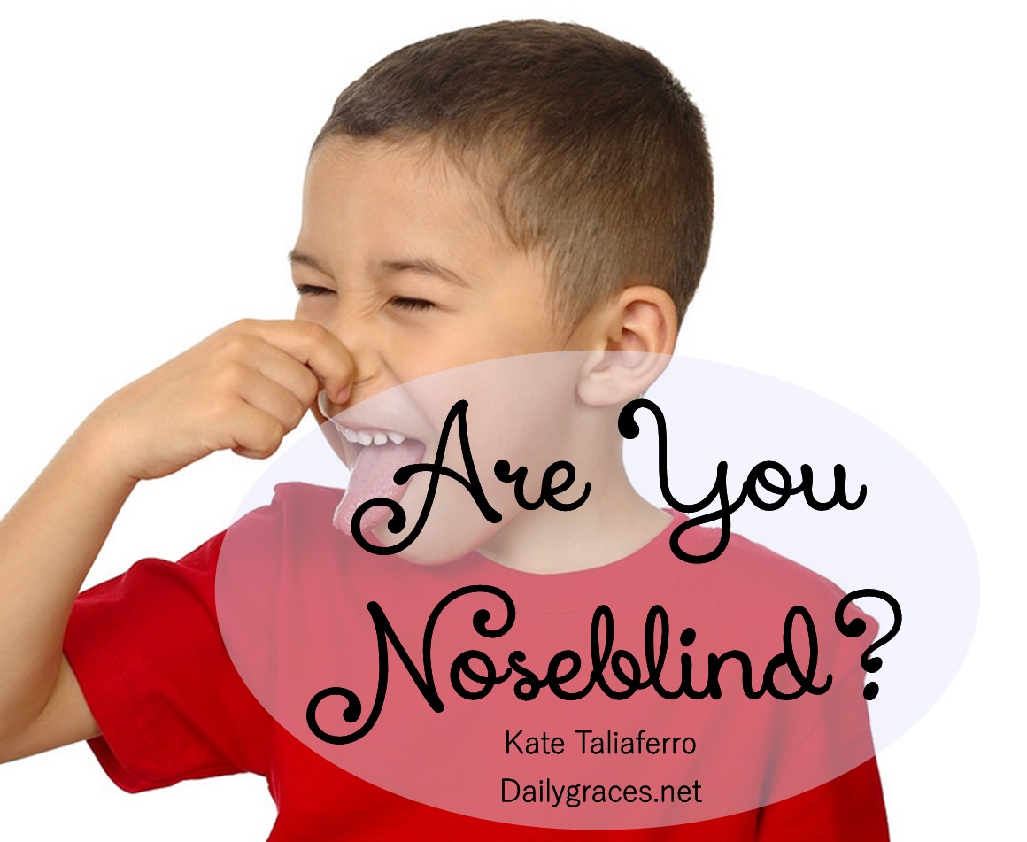 Are You Noseblind? – Daily Graces