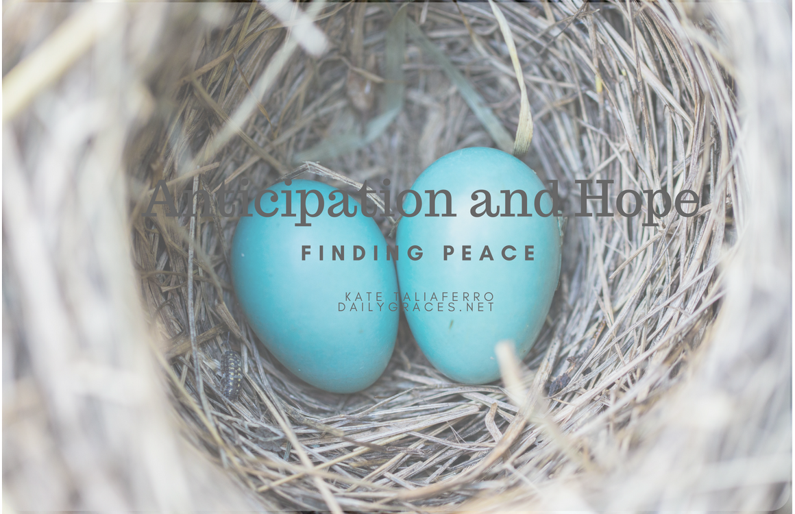 Anticipation and Hope – Finding Peace – Daily Graces